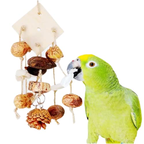 Bird Chewing Toys-Natural Wood Hanging Bird Cage Toys Set-Bird Swing Toys for Parrots, Parakeets, Cockatiels, Lovebird, Budgie, Conures (S-Cuttlebone)