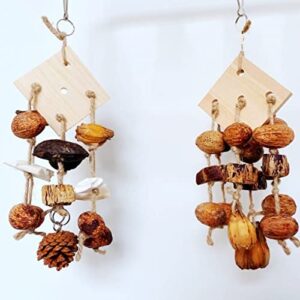 Bird Chewing Toys-Natural Wood Hanging Bird Cage Toys Set-Bird Swing Toys for Parrots, Parakeets, Cockatiels, Lovebird, Budgie, Conures (S-Cuttlebone)