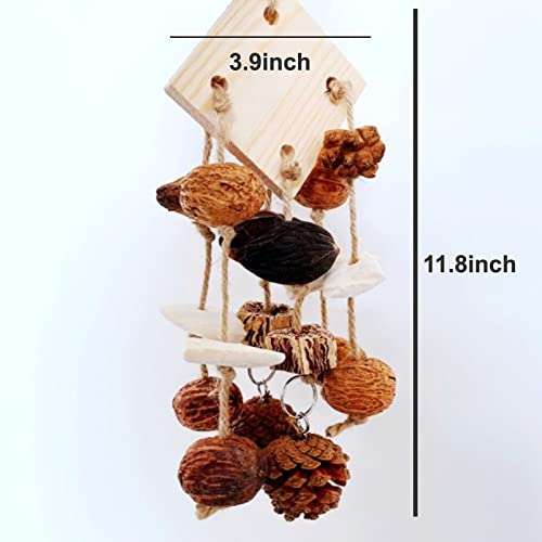 Bird Chewing Toys-Natural Wood Hanging Bird Cage Toys Set-Bird Swing Toys for Parrots, Parakeets, Cockatiels, Lovebird, Budgie, Conures (S-Cuttlebone)