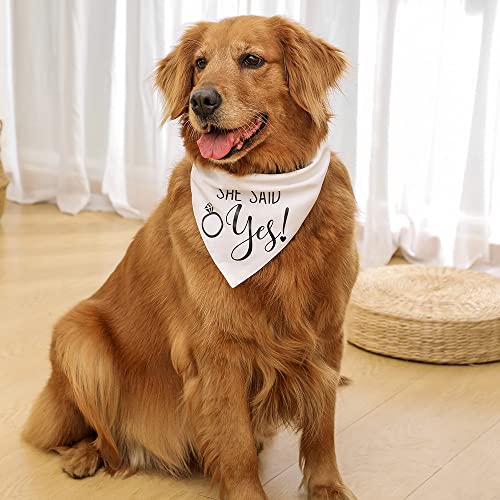 Bnibol 2 Pack Dog Bandana for Wedding Engagement,Triangle pet Scarf for Lovers,Suitable for Medium Large boy Girl Dog My Humans are Getting Married and say yes. (Wedding)