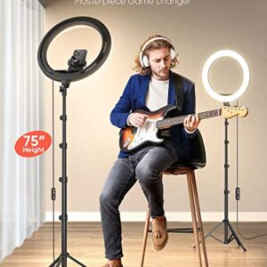 𝗡𝗲𝘄𝗲𝘀𝘁 13" Selfie Ring Light with Stand and Phone Holder, 63" Tripod for iPhone with Ring Light for YouTube/Tiktok, LED Ringlight for Make Up/Zoom Meeting/Photography, Ring Lights for Vlogs