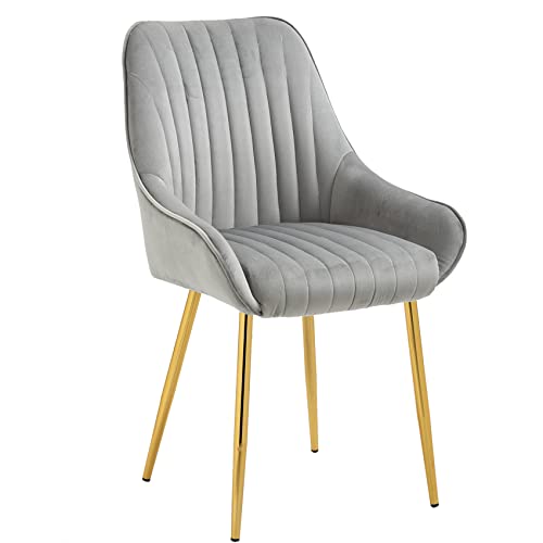 Dolonm Modern Living Dining Room Accent Chair Velvet Mid-Century Upholstered Side Chair with Gold Metal Legs Leisure Club Armchair (Grey)