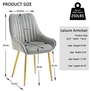 Dolonm Modern Living Dining Room Accent Chair Velvet Mid-Century Upholstered Side Chair with Gold Metal Legs Leisure Club Armchair (Grey)