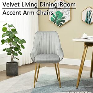 Dolonm Modern Living Dining Room Accent Chair Velvet Mid-Century Upholstered Side Chair with Gold Metal Legs Leisure Club Armchair (Grey)