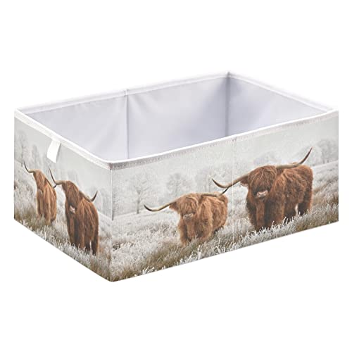 Highland Cow Storage Baskets for Shelves Foldable Collapsible Storage Box Bins with Closet Organizers Cubes Decorative for Pantry Toys, Clothes, Books in Closet and Shelf,11 x 11inch