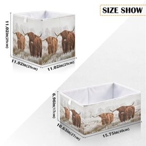 Highland Cow Storage Baskets for Shelves Foldable Collapsible Storage Box Bins with Closet Organizers Cubes Decorative for Pantry Toys, Clothes, Books in Closet and Shelf,11 x 11inch