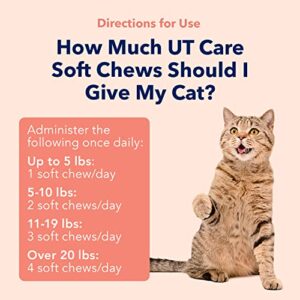 Vets Preferred Cat Urinary Tract Chews – UT Care Health Soft Chews – Supports Healthy Urinary Tract – Promotes Normal Bladder and Kidney Function - Chicken Flavored - for All Cat Sizes - 60 Count