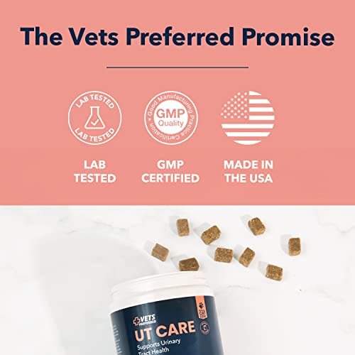 Vets Preferred Cat Urinary Tract Chews – UT Care Health Soft Chews – Supports Healthy Urinary Tract – Promotes Normal Bladder and Kidney Function - Chicken Flavored - for All Cat Sizes - 60 Count