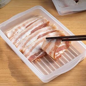 2 Pack Plastic Bacon Box, Deli Meat Saver Cold Cuts Fridge Keeper, Cheese Food Storage Container with Lid for Refrigerator, Shallow Low Profile Christmas Cookie Holder