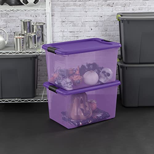 Sterilite 64 Qt lid Box, Pecos Tint base w/Royal Purple lid & Black latches