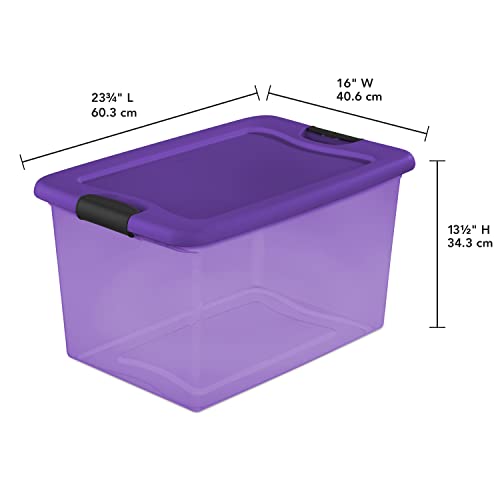 Sterilite 64 Qt lid Box, Pecos Tint base w/Royal Purple lid & Black latches