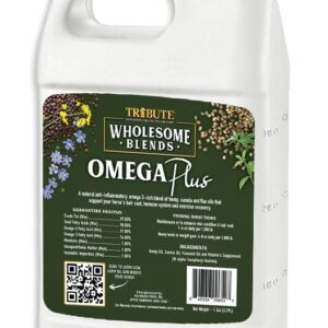 Wholesome Blends Omega Plus Oil Supplement for Horses, 1 Gallon