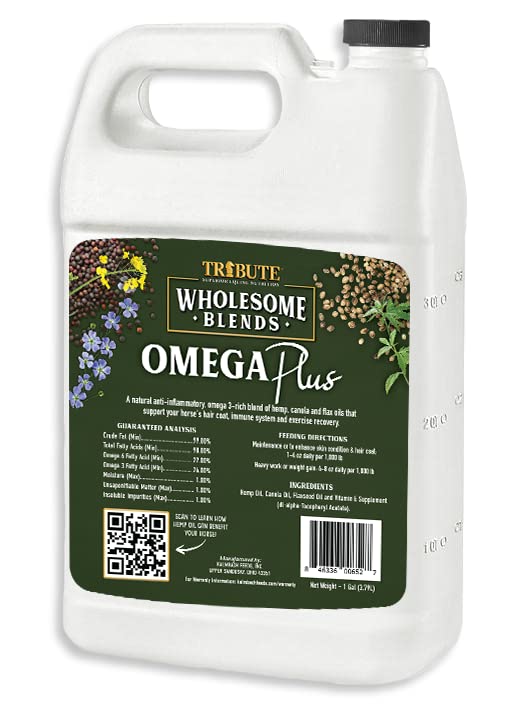 Wholesome Blends Omega Plus Oil Supplement for Horses, 1 Gallon