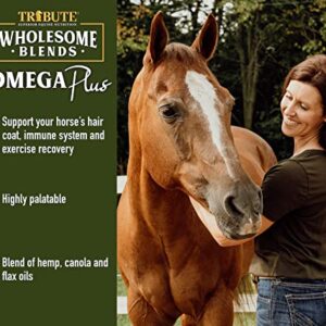 Wholesome Blends Omega Plus Oil Supplement for Horses, 1 Gallon