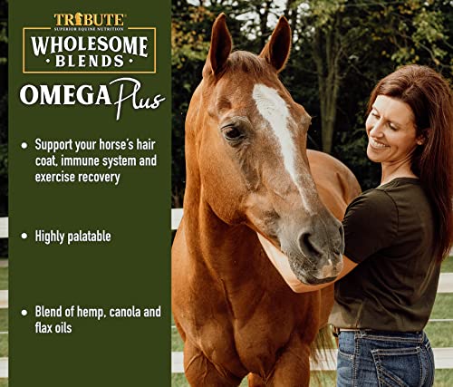 Wholesome Blends Omega Plus Oil Supplement for Horses, 1 Gallon