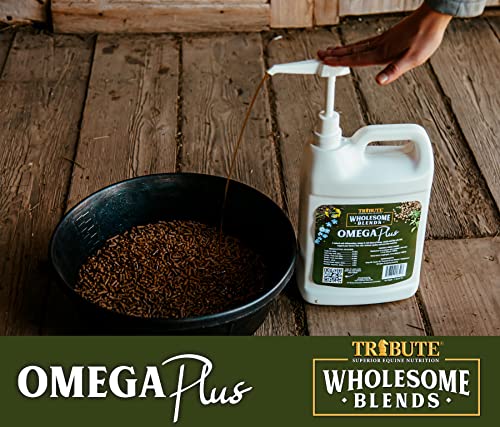 Wholesome Blends Omega Plus Oil Supplement for Horses, 1 Gallon