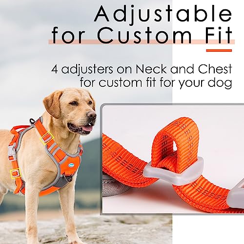 ThinkPet No Pull Harness Breathable Sport Harness with Handle-Dog Harnesses Reflective Adjustable for Medium Large Dogs,Back/Front Clip for Easy Control M Neon Orange