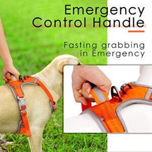 ThinkPet No Pull Harness Breathable Sport Harness with Handle-Dog Harnesses Reflective Adjustable for Medium Large Dogs,Back/Front Clip for Easy Control M Neon Orange