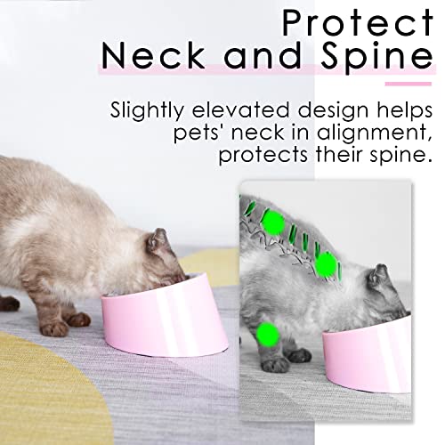 SuperDesign Mess Free 15° Slanted Bowl for Dogs and Cats, Tilted Angle Bulldog Bowl Dog Feeder, Non-Skid & Non-Spill, Easier to Reach Food S/0.5 Cup Pink