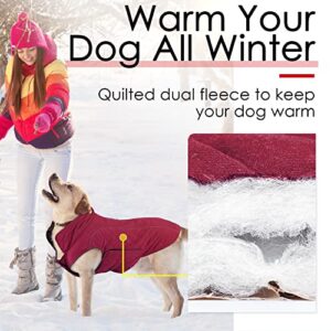 ThinkPet Dog Cold Weather Coats - Cozy Waterproof Windproof Reversible Winter Dog Jacket, Thick Padded Warm Coat Reflective Vest Clothes for Puppy Small Medium Large Dogs