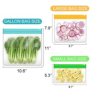 FEXIA 10 Pack Reusable Food Storage Bags (2 Reusable Freezer Gallon Bags, 4 Reusable Sandwich Bags & 4 Reusable Snack Bags) Free Leakproof Ziplock Stash Bags for Food Meat Fruit Veggies