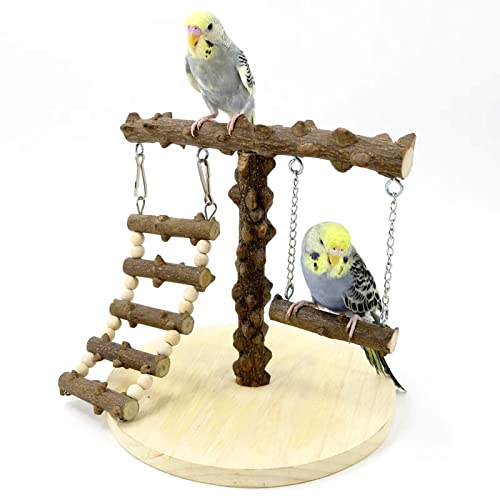 VIEDZMY Bird Toys Parrots Wooden Stand Playground, Bird Perch with Climb Swing Ladders for Parakeets, Lovebirds, and Parrotlets – Small