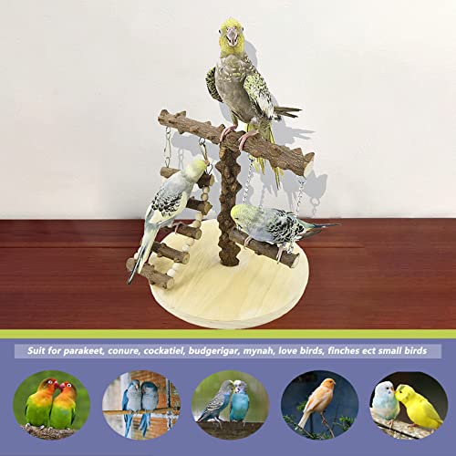 VIEDZMY Bird Toys Parrots Wooden Stand Playground, Bird Perch with Climb Swing Ladders for Parakeets, Lovebirds, and Parrotlets – Small