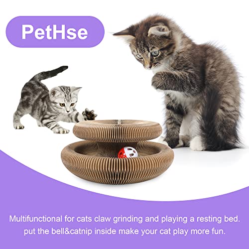 PetHse Magic Organ Cat Scratching Board, Interactive Scratch Pad Cat Toy with Toy Bell Ball