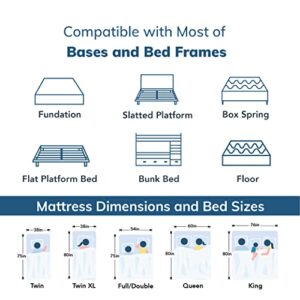 EGO Hybrid Mattress 10 Inch Twin, Made in USA, Cooling Gel Infused Memory Foam and Individual Pocket Spring Mattress, Bed in A Box, CertiPUR-US Certified, Medium, 75"x38"