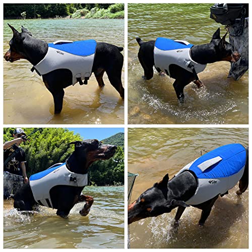 Dog Life Jacket, Sport Style Dog Float Coat with Excellent Buoyancy, Stylish Dog Swimming Safety Vest with Rescue Handle for Small Medium Large Dogs Blue L