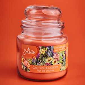 Smells - Premium Soy Wax Large Jar Scented Candle 16oz. - 100% Cotton Single Wick - Fragrance That Eliminates Home and Office Odors: Food, Pets, Smoke and Others (1-Pack, Cactus Blossom)