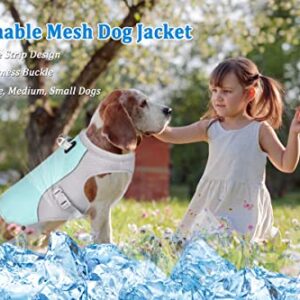 TVMALL Dog Cooling Vest Breathable Mesh Dog Jacket Summer Cool and Comfortable Dog Coat Adjustable with Reflective Strip Pet Clothes Suitable for Large Medium and Small Dogs (S, New-Blue)