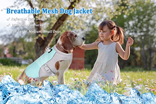 TVMALL Dog Cooling Vest Breathable Mesh Dog Jacket Summer Cool and Comfortable Dog Coat Adjustable with Reflective Strip Pet Clothes Suitable for Large Medium and Small Dogs (S, New-Blue)