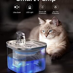 PETCADO Cat Water Fountain with Stainless Steel Lid, 67oz/2L Ultra-Quiet Cat Fountain with LED Light, Activated Carbon Filter, BPA-Free Automatic Pet Water Dispenser for Cats and Small Dogs