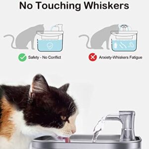 PETCADO Cat Water Fountain with Stainless Steel Lid, 67oz/2L Ultra-Quiet Cat Fountain with LED Light, Activated Carbon Filter, BPA-Free Automatic Pet Water Dispenser for Cats and Small Dogs