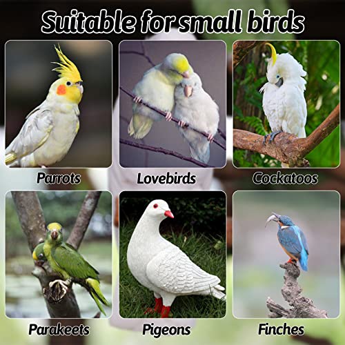 Hamiledyi Acrylic Parakeet Nesting Box Budgie Nesting Box with Perch Parrots Mating Box for Birds, Parrot, Lovebirds, Parrotlet, Finch, Sparrow and Small-Sized Birds