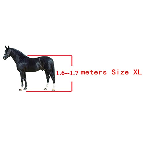 Horse Boots, 4Pcs PU Shell Protective Horse Tendon Boots, Horse Splint Boots for Front Legs and Rear Legs, Protective Horse Leg Wraps, Leg Protection and Support for Riding, Jumping(XL)