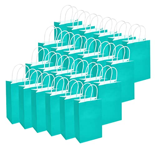 DjinnGlory 100 Pack Small Size Teal Blue Paper Gift Bags with Handles Bulk for Small Business Holiday Birthday Wedding Baby Shower Parties, Shopping Bags(Small 9x5.5x3.15 Inch, Teal)