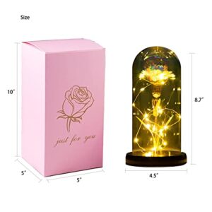 Glass Rose Flower Gifts Galaxy Light Up Rose with Led Light String for Women Birthday Flowers Gifts for Women Mom Preserved Roses Flowers for Delivery Prime for Mothers Day Christmas (Rainbow)