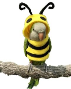 bird costume bird diaper flight suit bird bee shape bird clothes cosplay photo prop for parrots lovebird budgie parakeet cockatiel sun conure, small animals apparel (bee without diaper, x-large)