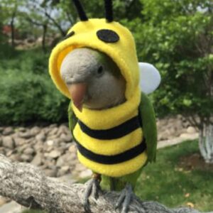 Bird Costume Bird Diaper Flight Suit Bird Bee Shape Bird Clothes Cosplay Photo Prop for Parrots Lovebird Budgie Parakeet Cockatiel Sun Conure, Small Animals Apparel (Bee Without Diaper, X-Large)