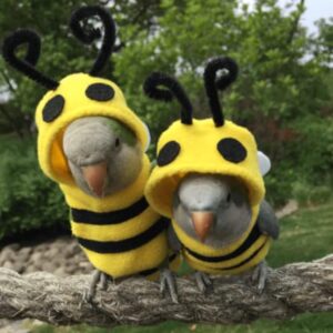 Bird Costume Bird Diaper Flight Suit Bird Bee Shape Bird Clothes Cosplay Photo Prop for Parrots Lovebird Budgie Parakeet Cockatiel Sun Conure, Small Animals Apparel (Bee Without Diaper, X-Large)