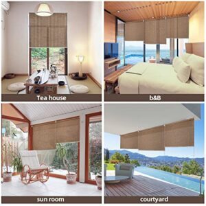 RED GRAPES Roller Window Shades,Light Filtering Roller Shade,Window Blinds,Roll Up and Down Blinds for Home,Easy to Install(Coffee, 58'')