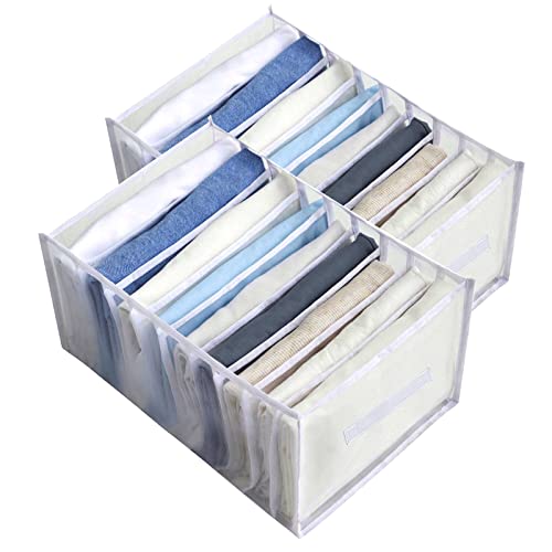 DLLDY Wardrobe Clothes Organizer for Folded Clothes, 9 Compartment Mesh Collapsible Clothes Organizer Suitable for Folded Jeans, Pants, Sweaters, Sweatshirts, T-Shirts, Underwear (2 Pc)