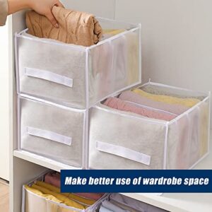 DLLDY Wardrobe Clothes Organizer for Folded Clothes, 9 Compartment Mesh Collapsible Clothes Organizer Suitable for Folded Jeans, Pants, Sweaters, Sweatshirts, T-Shirts, Underwear (2 Pc)