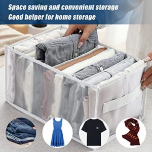 DLLDY Wardrobe Clothes Organizer for Folded Clothes, 9 Compartment Mesh Collapsible Clothes Organizer Suitable for Folded Jeans, Pants, Sweaters, Sweatshirts, T-Shirts, Underwear (2 Pc)