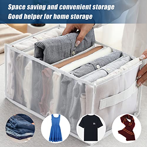 DLLDY Wardrobe Clothes Organizer for Folded Clothes, 9 Compartment Mesh Collapsible Clothes Organizer Suitable for Folded Jeans, Pants, Sweaters, Sweatshirts, T-Shirts, Underwear (2 Pc)