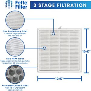 Fette Filter - E-300L True HEPA H13 Replacement Filter Compatible with MOOKA and MOOKA FAMILY E-300L Air Purifiers - Pack of 2