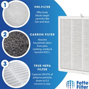 Fette Filter - E-300L True HEPA H13 Replacement Filter Compatible with MOOKA and MOOKA FAMILY E-300L Air Purifiers - Pack of 2