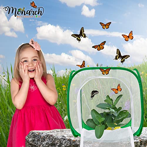 Monarch Butterfly Life Soft Silicone Small Poo Poo Platter | 14”L x 14”W x .5”H | Fitted Caterpillar Cage Liner | Easy Cleaning Tray for Baby Cube and Tall Baby Butterfly Habitat